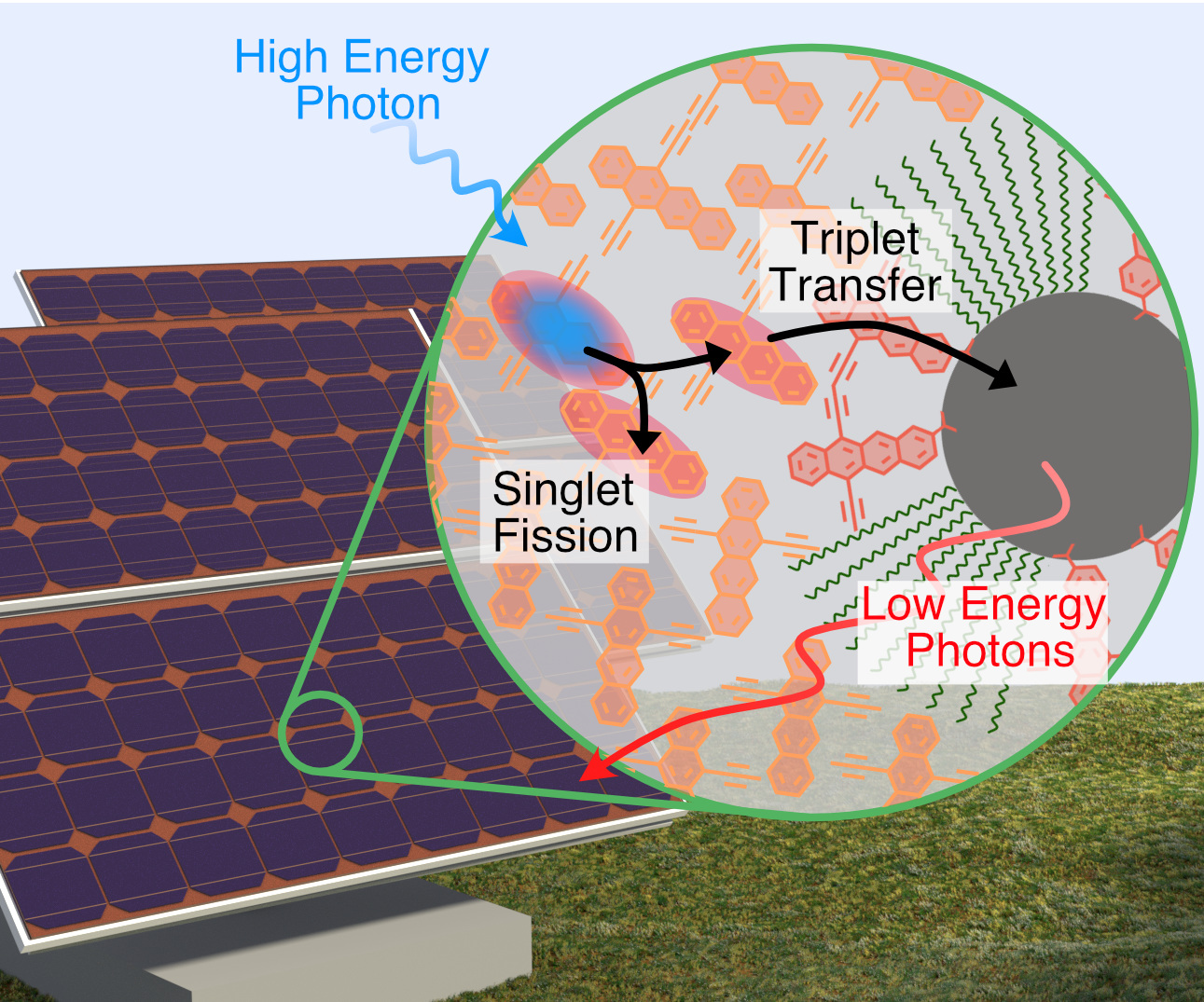 Research – Exciting Molecules